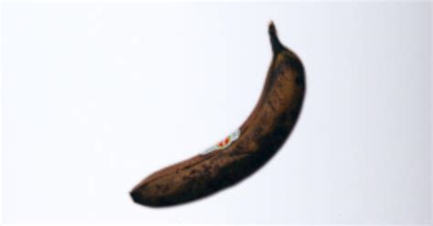 Fruit Classification Classification Dataset By Universidade De Coimbra