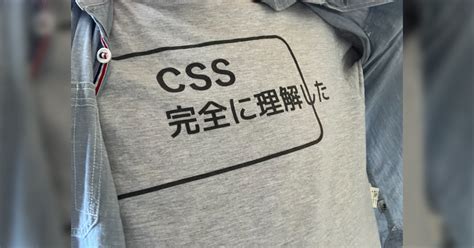 「css完全に理解した」tシャツが完全に理解してるデザインだけど嫁には伝わらず不良品扱いされた話 Togetter トゥギャッター