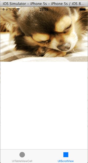 Github Hamasyouautolayout Iphone Autolayout サンプル