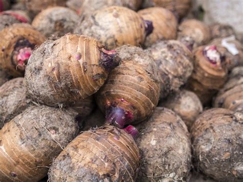 Nutritional Benefits of Taro | Livestrong.com