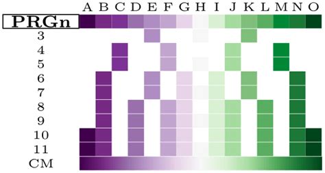 Colorbrewer Pgfplots Manual