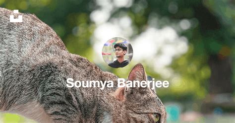 soumya banerjee soumya495 unsplash photo community