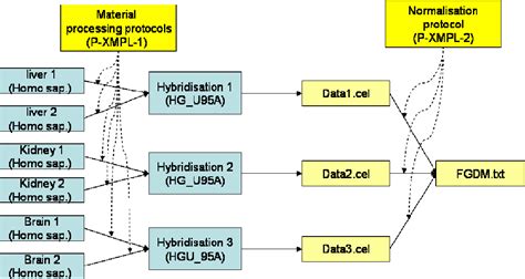 Figure 11 From A Simple Spreadsheet Based Miame Supportive Format For Microarray Data