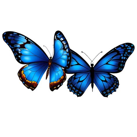 Download Blue Butterfly Illustration Png 40