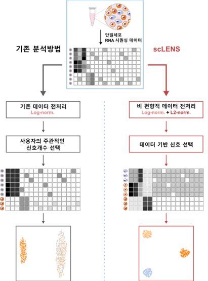 Ibs 기존 단일세포 전사체 분석의 부정확한 근본 원인 규명 충청뉴스