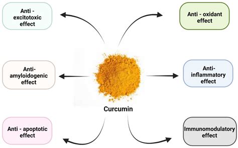 Regulatory Effects Of Curcumin On Platelets An Update And Future Directions