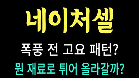 네이처셀 주가폭풍 전 고요 패턴 뭔 재료로 튀어 올라갈까 네이처셀 네이처셀 주가 네이처셀 전망 네이처셀 주식 Youtube