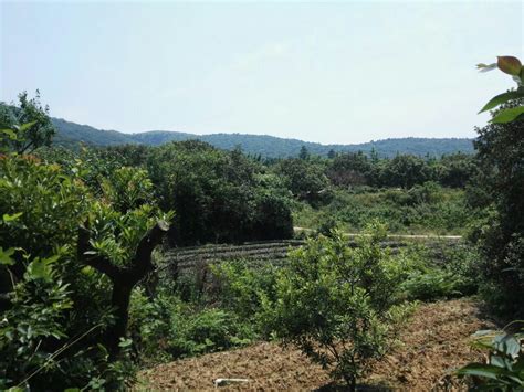 2023军嶂古道游玩攻略 上山下山算一段吃不消的话 去哪儿攻略