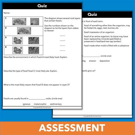 Teaching About Fossils Evidence In Layers Of Sedimentary Rock