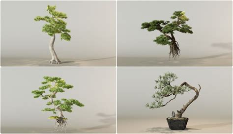 11290 Free Sketchup Tree Models Download