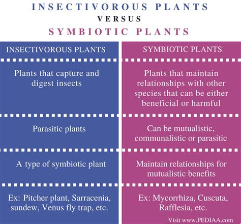 Difference Between Insectivorous And Symbiotic Plants Pediaa Com