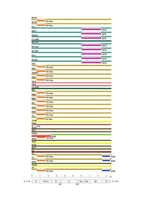 Analysis Of Recombination Events Re In The Alignment Of Complete Download Scientific Diagram