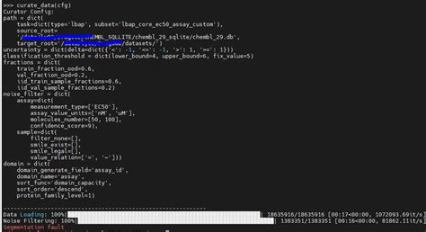 Segmentation Fault Issue Tencent Ailab DrugOOD GitHub