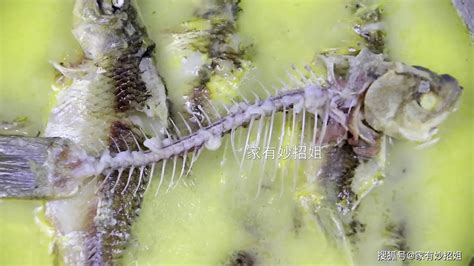 魚刺卡喉嚨千萬別再喝醋吞米飯了只用1招魚刺自己跑出來 阿波羅新聞網