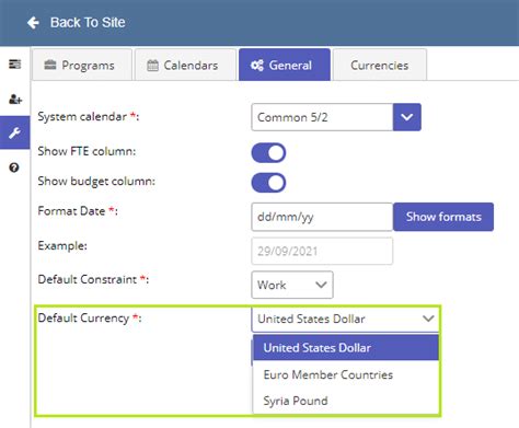 portfolio project manager update project constraint currency and date