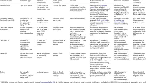 hierarchical structure relevant spatiotemporal scales dominant