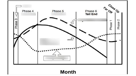 Lactation Curve Diagram Quizlet