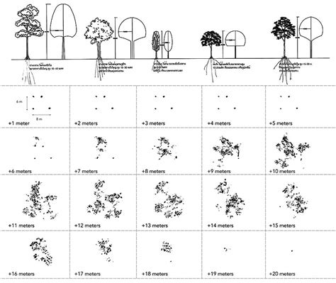 Designing For Spaces In The Forest Architectkidd Co Ltd