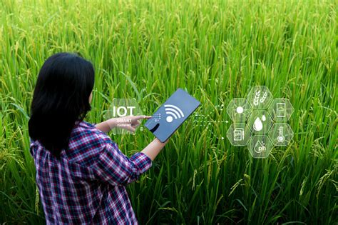 Smart Farming Dengan Internet Of Things Konsep Iot Pertanian Dan
