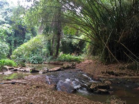 Aburi And Cedi Beads Ibyservice