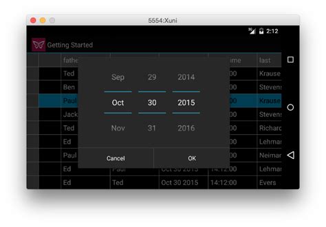 How To Customize Cells And Custom Cell Editors In Flexgrid For Android