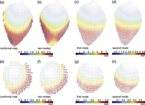 Second Order Expansion Of Displacement Fields Of Leaves In Figure 1
