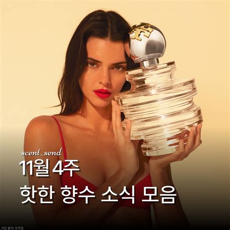 Scentsend 센트센드 향수정보공유🤍 11월 4주차 핫한 향수 소식 모음 메모파리를 사랑하시는 분들이라면 당장 오늘부터 시작되는 팝업에 꼭 들러보세요