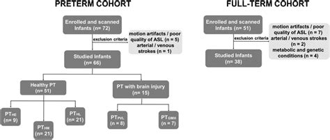 Reports The 4 Color Coded Clusters On The Atlas Template The First Download Scientific Diagram