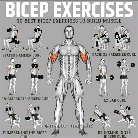 Effective Biceps Exercises Biceps Workout Triceps Workout Bicep