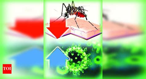 Swine Flu Dengue Sting Weakens But Swine Flu Sets Off Alarm Bells Nagpur News Times Of India