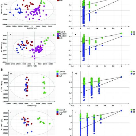 The Opls Da Analysis And Permutation Test Of Serum And Liver In