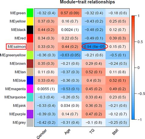 Heatmap Of The Moduletrait Relationships It Was Represented The Download Scientific Diagram