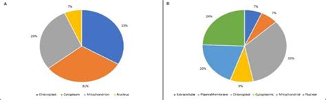 Subcellular Localization Of Iron Binding Proteins A Wegoloc Analysis
