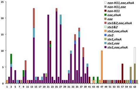 virulence gene profiles within the 64 polymorphism derived genotypes