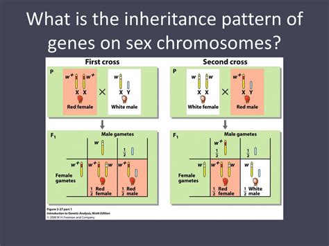 Todays Agenda Questions From Chapter 1 Introduce Key Ideas In Ppt Download