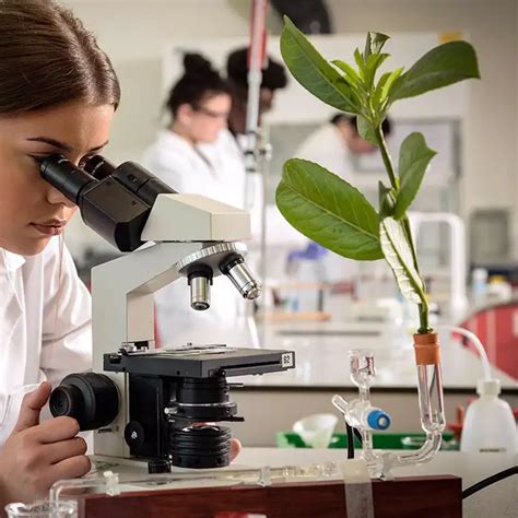 بهداشت و کنترل کیفی مواد غذایی