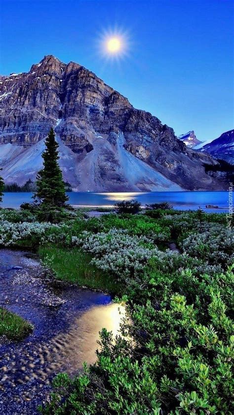 Beautiful Nature Views