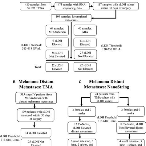 Of Samples Available For Molecular Profiling A Flowchart Diagram