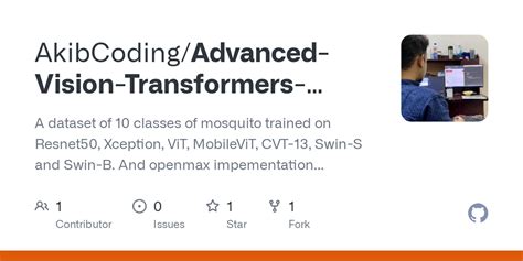 Github Akibcodingadvanced Vision Transformers And Open Set Learning