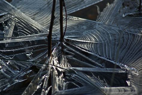 Gel Water Cold - Free photo on Pixabay - Pixabay