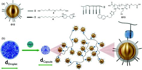 Macrocycles Assisted Polymeric Self Assemblies Fabricated By Hostguest Complexation And Their