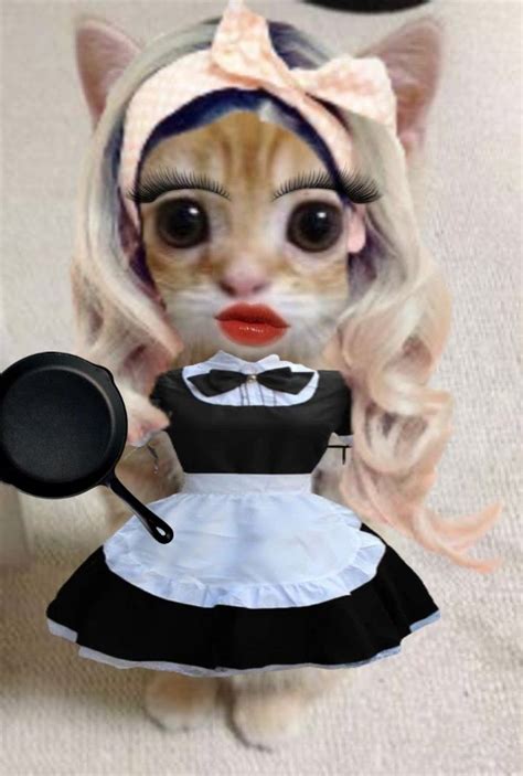Котик дом работница