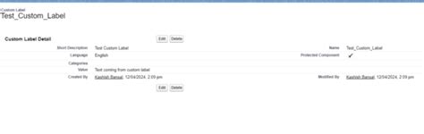 How To Access Custom Label In Apex Salesforce Geek