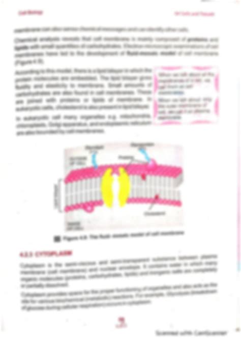 Solution Cell Membrane Definition Function And Structure And Cytoplasm An Overview Of Its