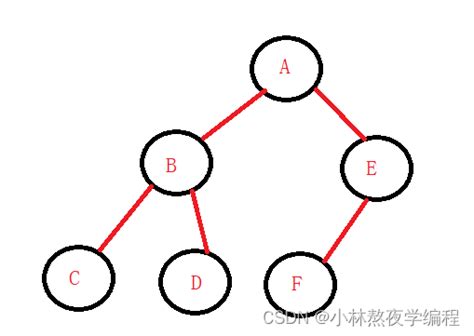 数据结构第十三弹 链式二叉树基本操作 上 技术分享 云服务器