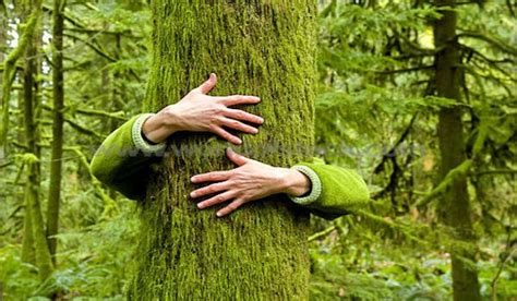 Tree Hugging Proven To Improve Health Issues Artofit