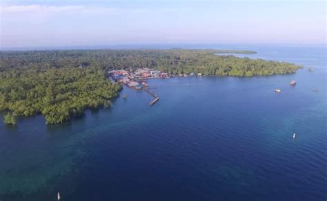 Kembali Ke Pulau Miang Kembali Ke Surga