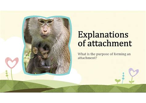 Learning Theory Of Attachment What Is The Purpose Of Forming An