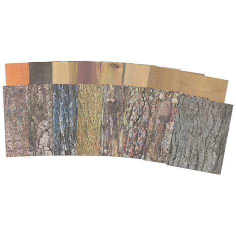 Terrific Tree Design Papers R Roylco Inc Craft Paper